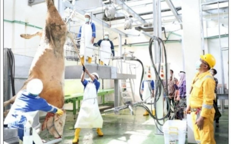PD RPH Makassar Rilis Harga Daging Lokal Segar Gelondongan - Pluz.id